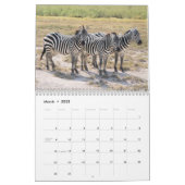 2021 Zebra Love Calendar | Zazzle