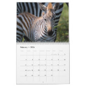 2021 Zebra Love Calendar | Zazzle