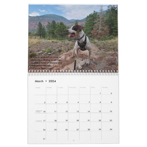 2022 Pointers of the Heart PointerRescue Org Calendar | Zazzle