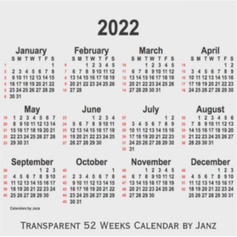 2022 Transparent 52 Weeks Calendar by Janz Sticker | Zazzle