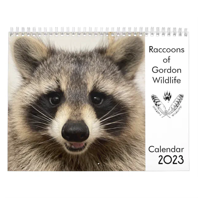 2023 Calendar Raccoons of Gordon Wildlife | Zazzle