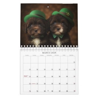 2023 Chocolate Havanese Puppy Calendar by HavaHug | Zazzle