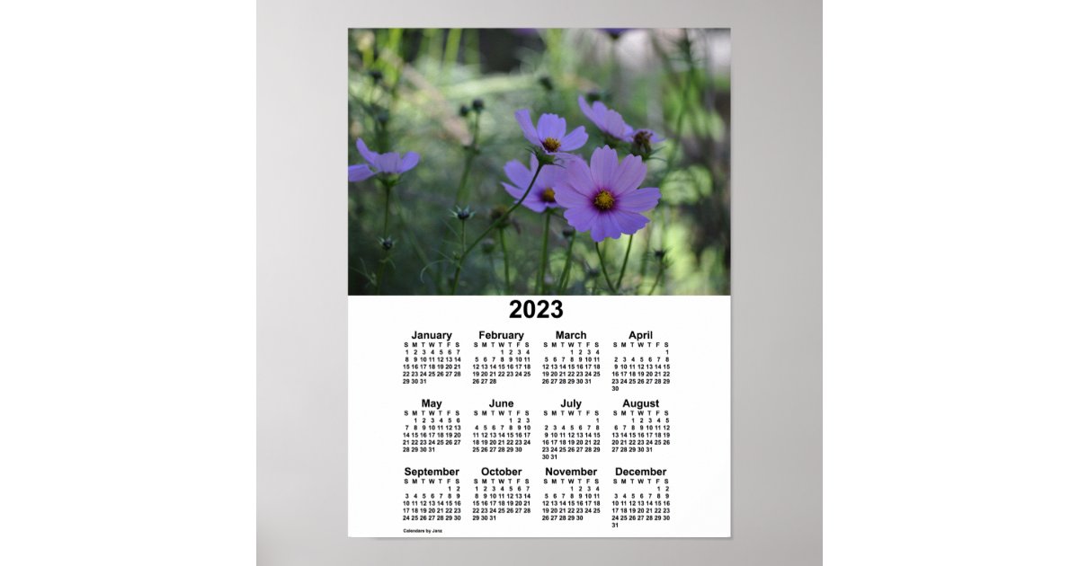 2023 Cosmos Calendar by Janz Poster | Zazzle
