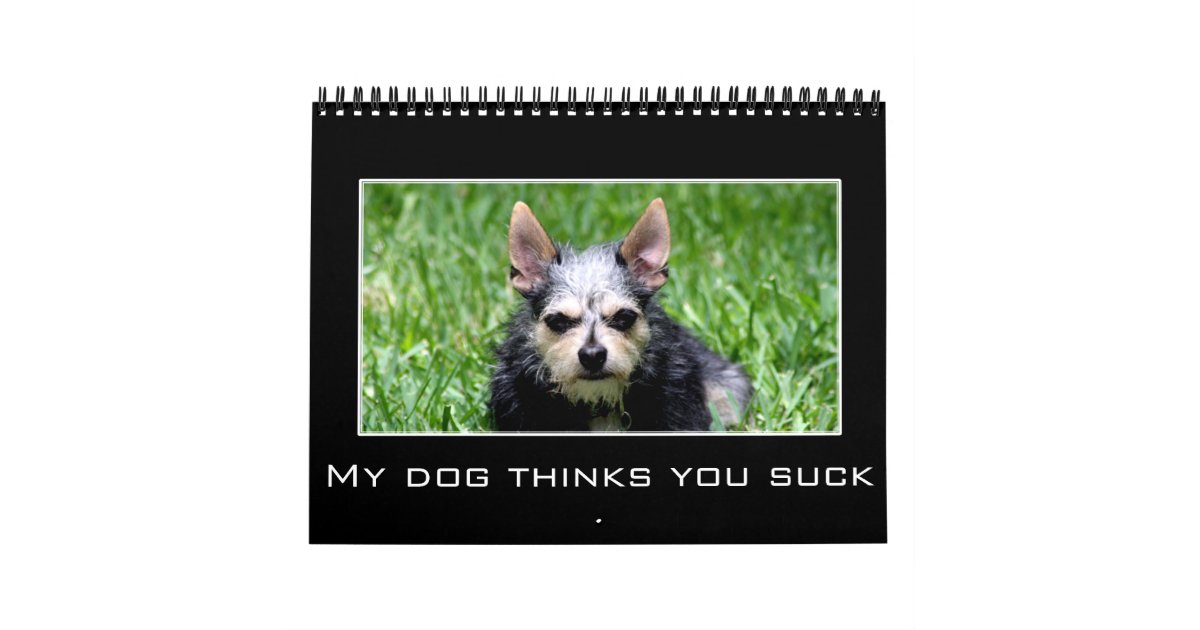 2023 Discouragement & Demotivational Humor Calendar | Zazzle