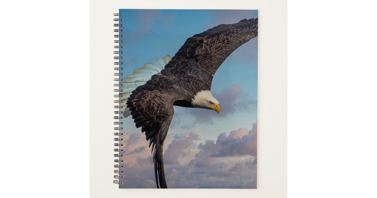 2024 Bald Eagle Planner | Zazzle