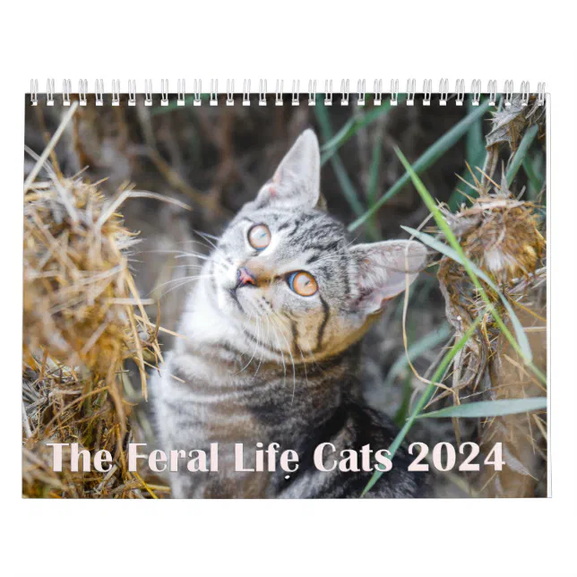 2024 Feral Life 2024 Beautiful Natural Cats Calendar | Zazzle