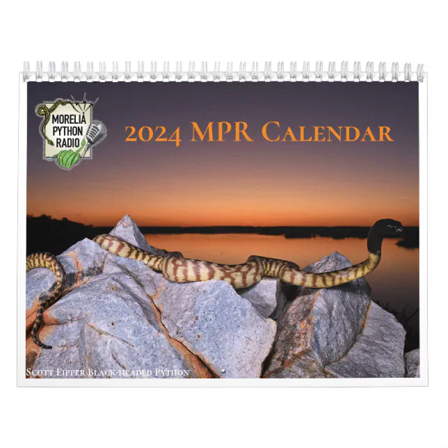 2024 Morelia Python Radio Calendar | Zazzle