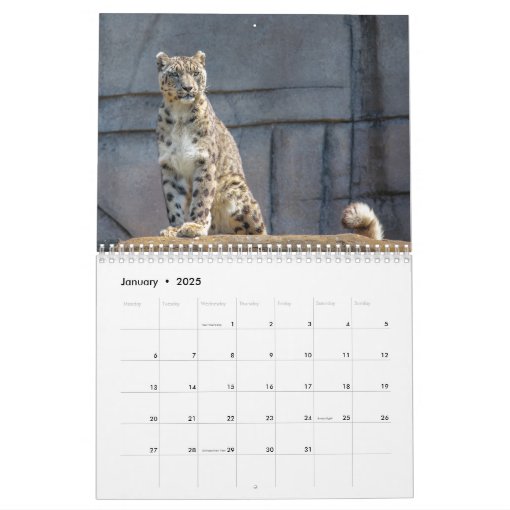 2024 Snow leopard Calendar | Zazzle