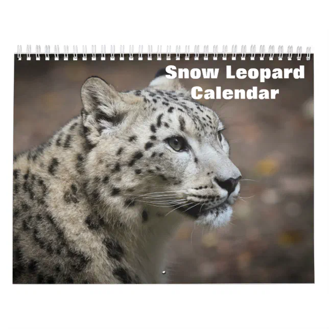 2024 Snow leopard Calendar | Zazzle