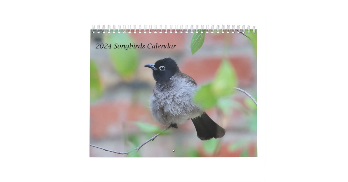 2024 Songbirds Calendar | Zazzle