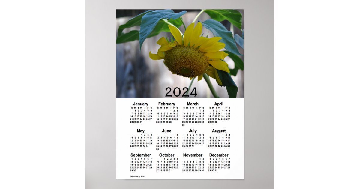 2024 Sunflower Calendar by Janz Poster | Zazzle
