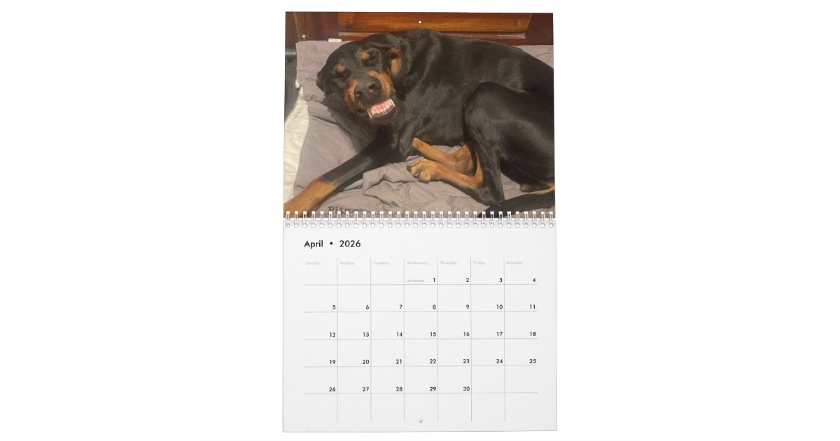 2025 DT Calendar | Zazzle