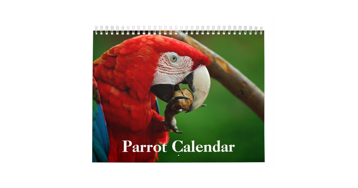 2026 Parrot Calendar | Zazzle