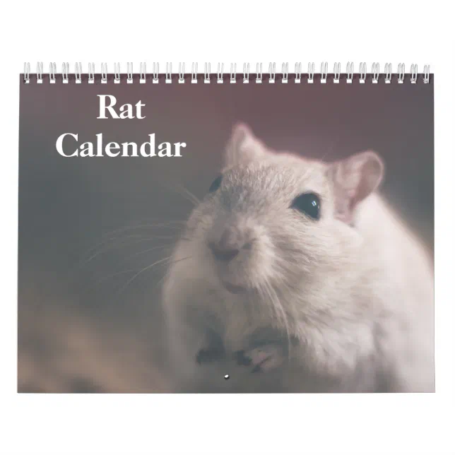 2026 Rat Calendar | Zazzle