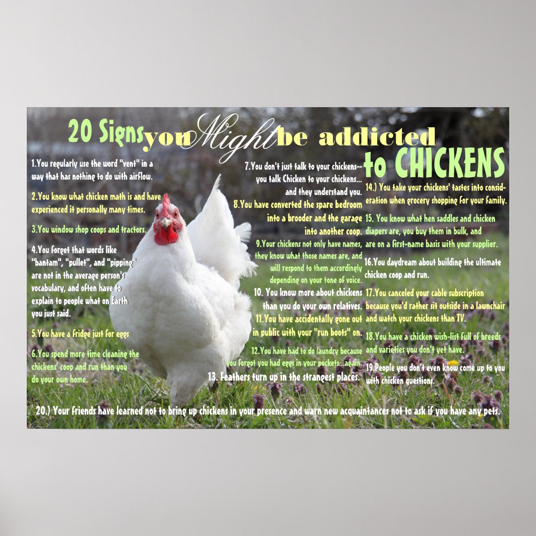 20 Signs You MIGHT be Addicted to Chickens | Zazzle