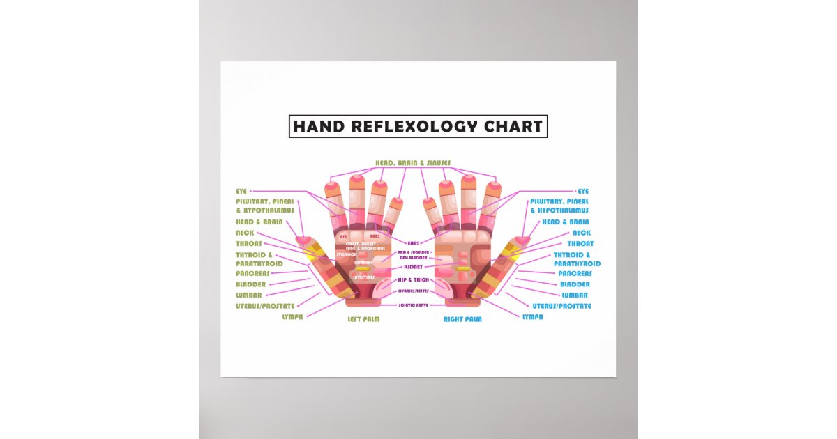 20" x 16", Hand Reflexology Poster | Zazzle