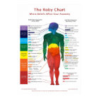 20x28 Chakra Chart: The Roby Chart | Zazzle