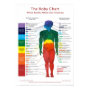 20x28 Chakra Chart: The Roby Chart | Zazzle