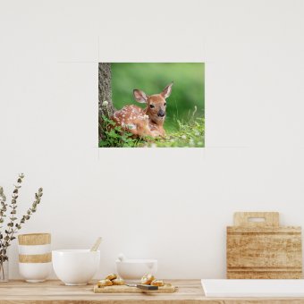 20x6 Adorable Fawn laying under a tree Poster | Zazzle