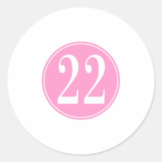 #22 Pink Circle Sticker