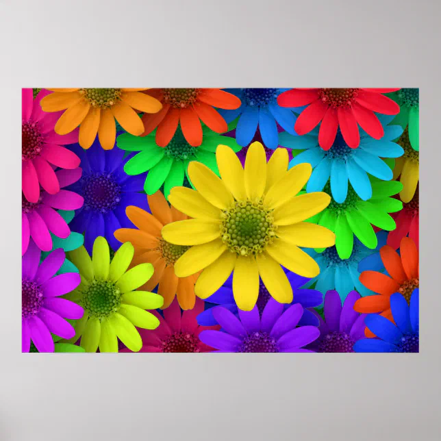 257153 BRIGHT COLORFUL DAISY FLOWERS BACKGROUNDS P POSTER | Zazzle