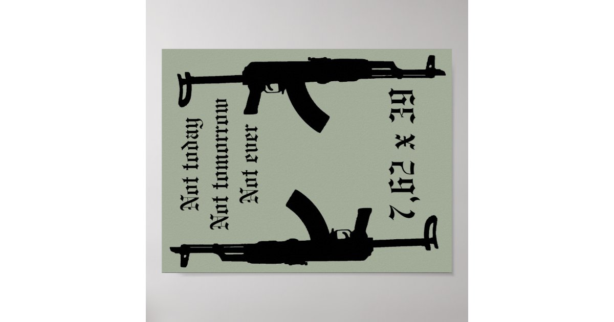 2nd amendment poster | Zazzle