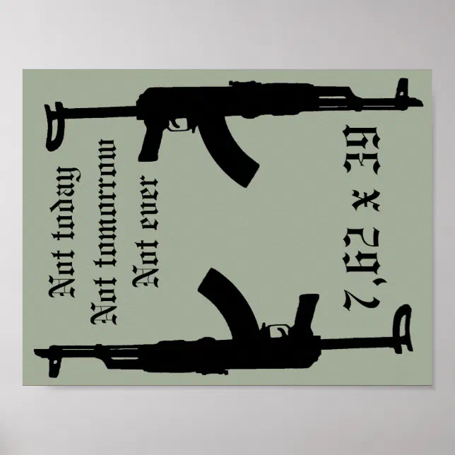 2nd amendment poster | Zazzle