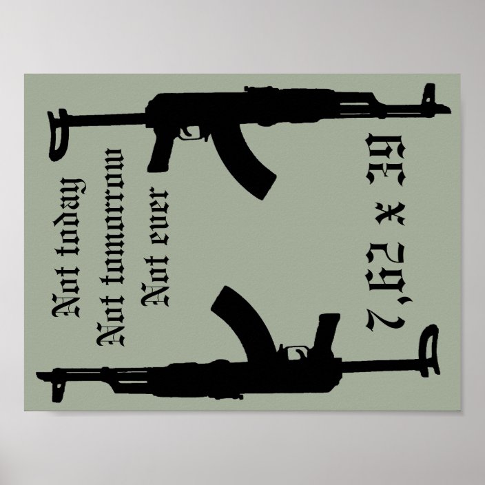 2nd amendment poster | Zazzle.com