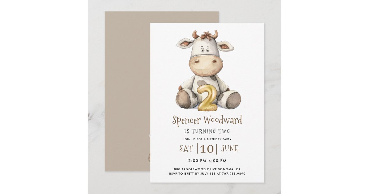 2nd birthday Party Boy Invitation | Zazzle