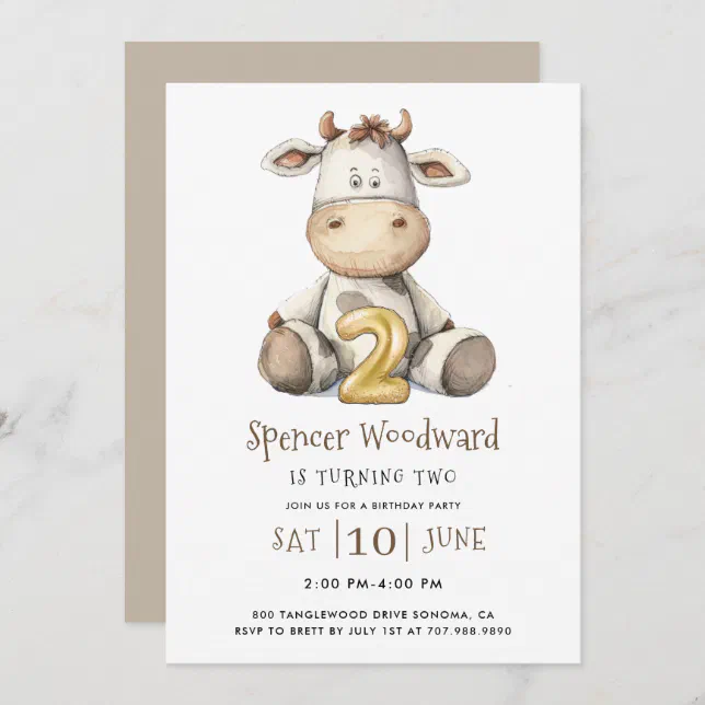 2nd birthday Party Boy Invitation | Zazzle