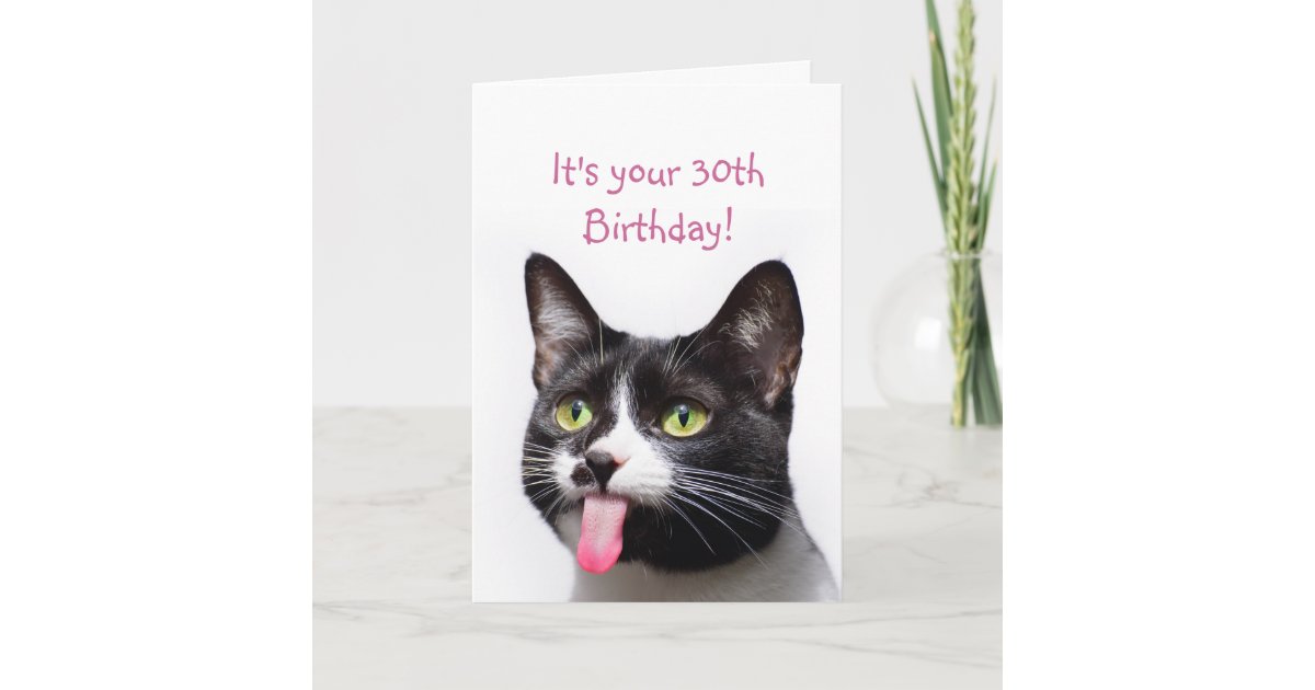 30th Birthday Cat Sticking out Tongue Funny Humor Card | Zazzle
