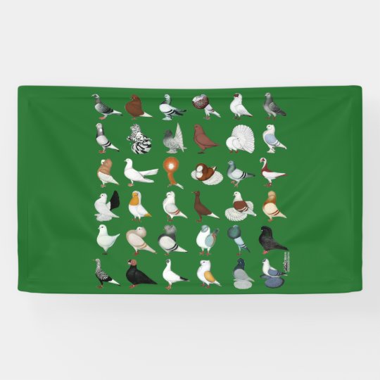 36 Pigeon Breeds Banner | Zazzle.com