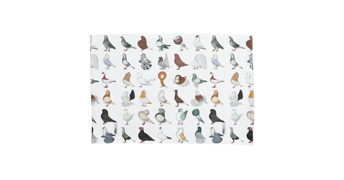 36 Pigeon Breeds Pillow Case | Zazzle