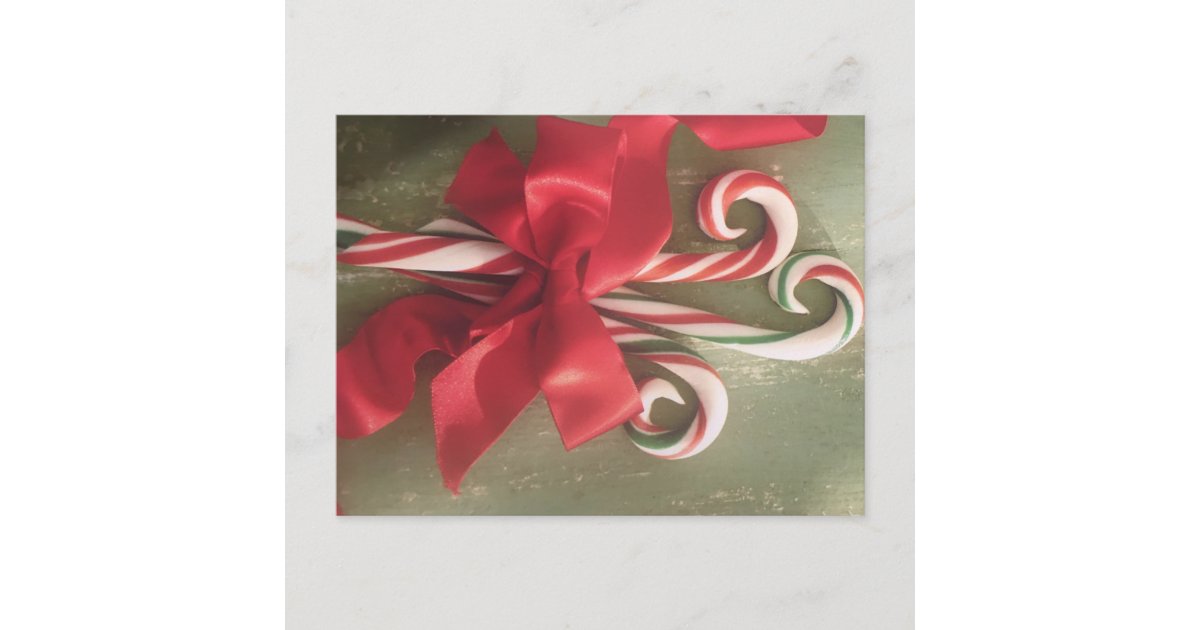 3 Candy Canes Holiday Postcard | Zazzle