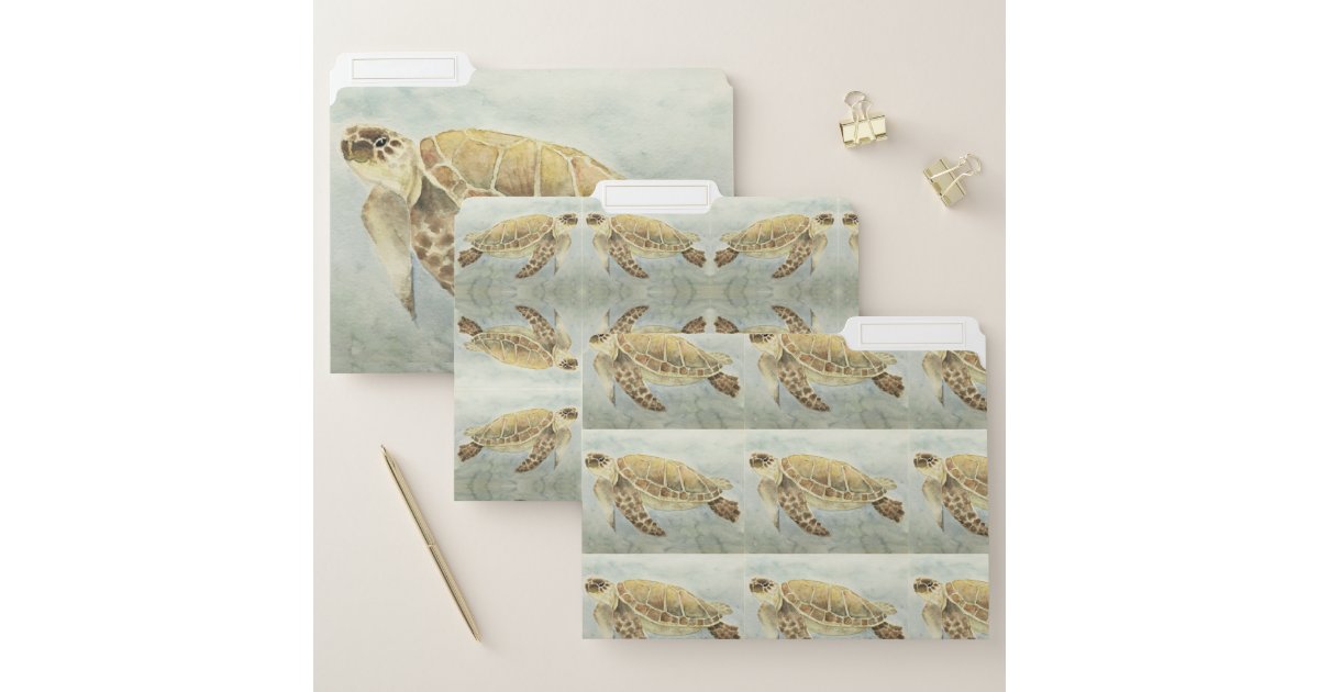3 File Folders - Sea Turtle | Zazzle