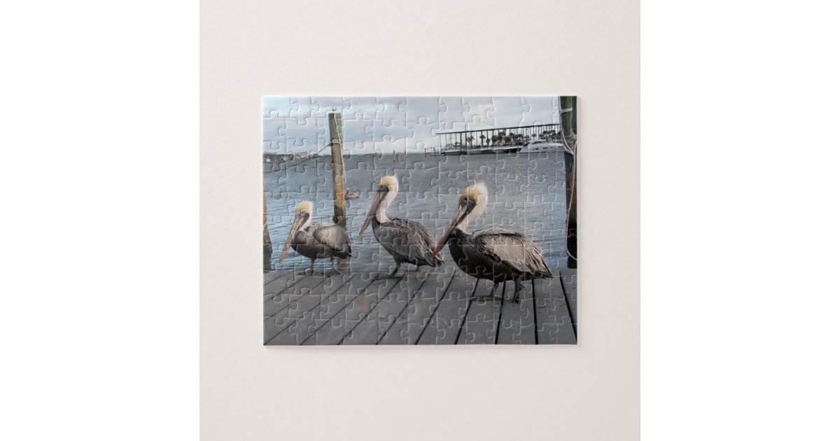 3 Pelicans in a row Jigsaw Puzzle | Zazzle