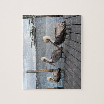 3 Pelicans in a row Jigsaw Puzzle | Zazzle