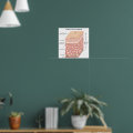 3d anatomy of the epidermis Poster | Zazzle