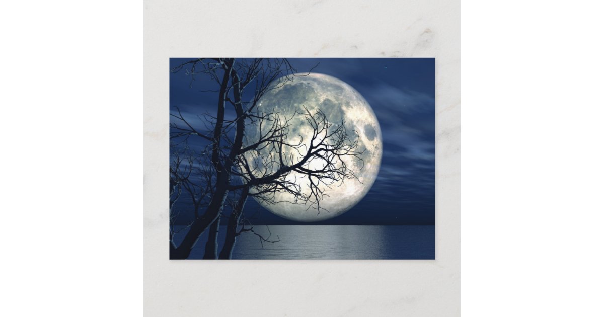3D Landscape Background With Moon Over The Sea Postcard | Zazzle