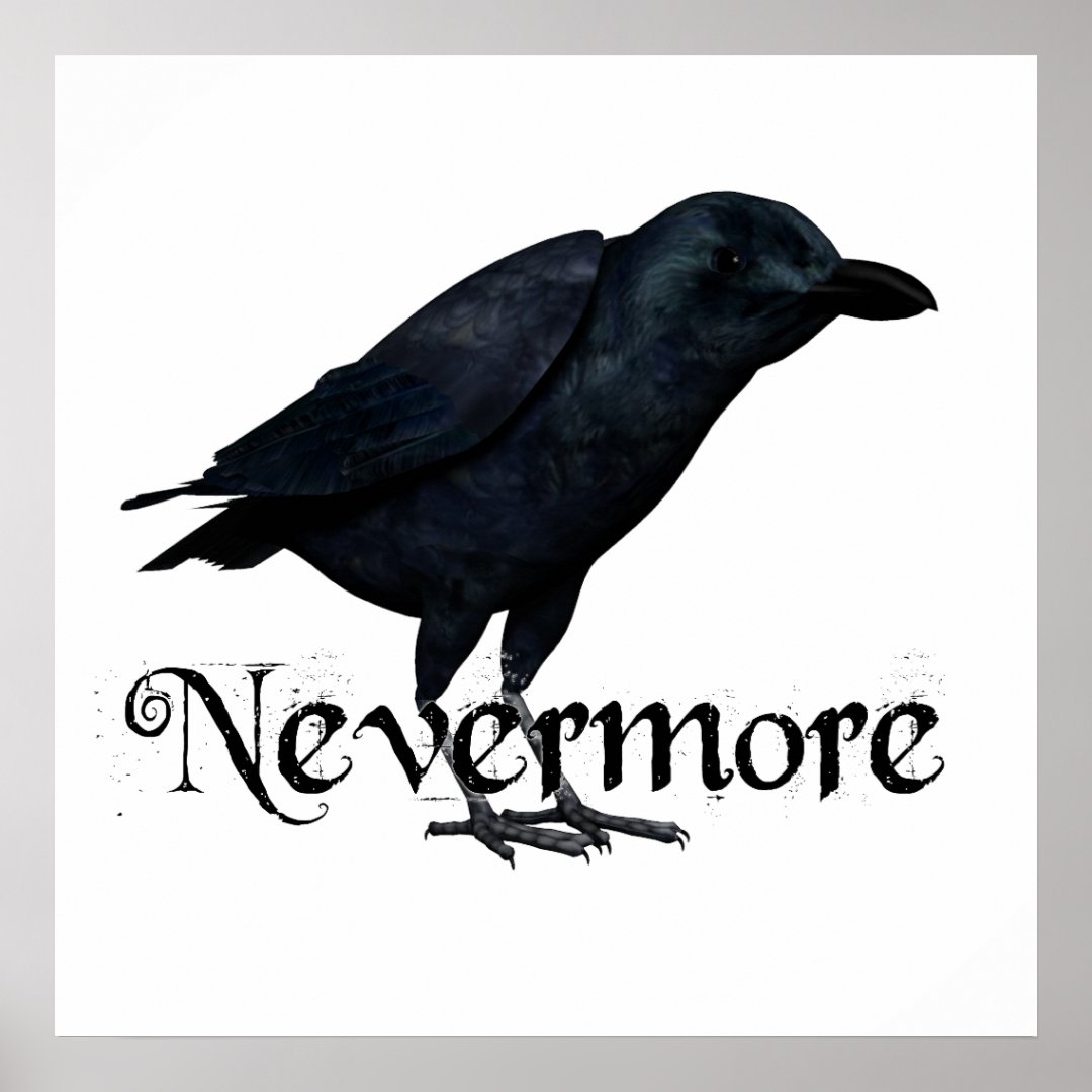 3D Nevermore Raven Poster | Zazzle