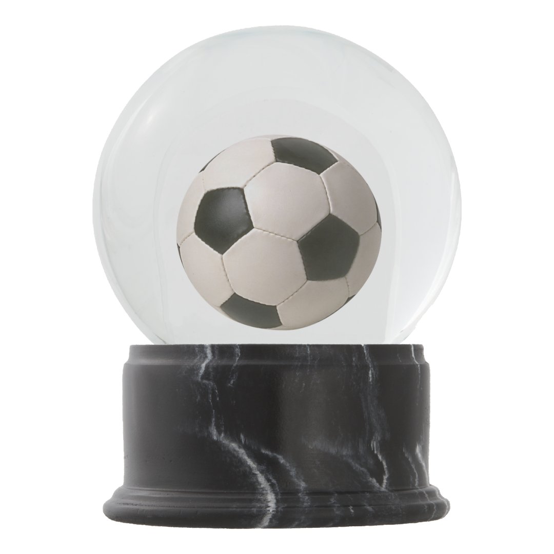 3D Soccerball Black White Football Snow Globe | Zazzle