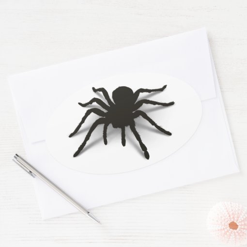 3D Spider Oval Sticker | Zazzle