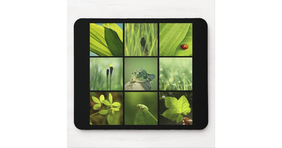 3x3 green nature photos Mousepad | Zazzle