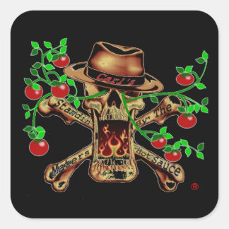 3x3 Stickers | Zazzle