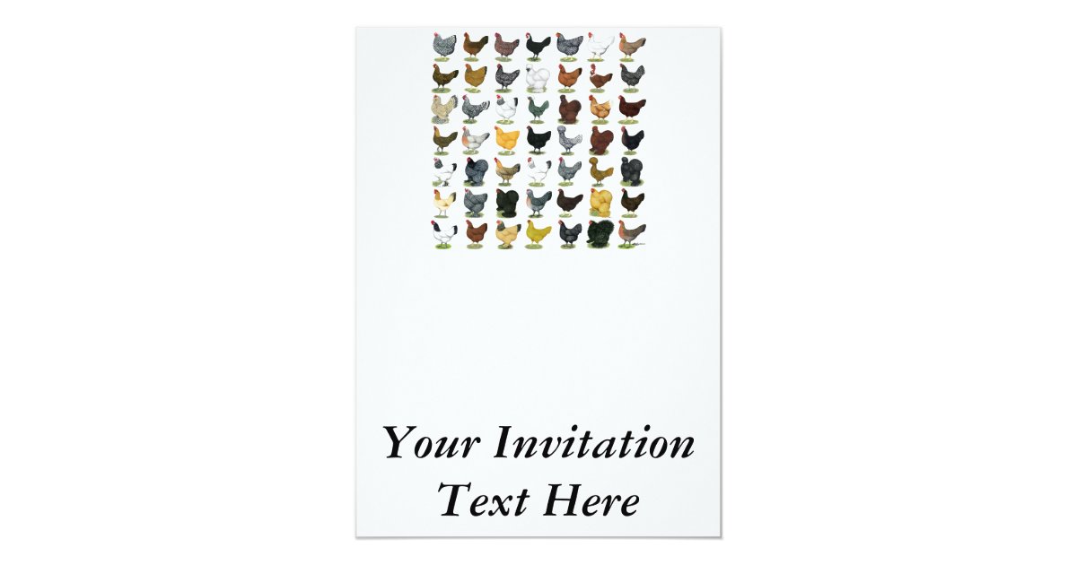49 Chicken Hens Invitation | Zazzle.com