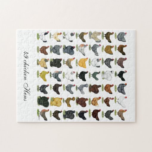 49 Chicken Hens Jigsaw Puzzle | Zazzle