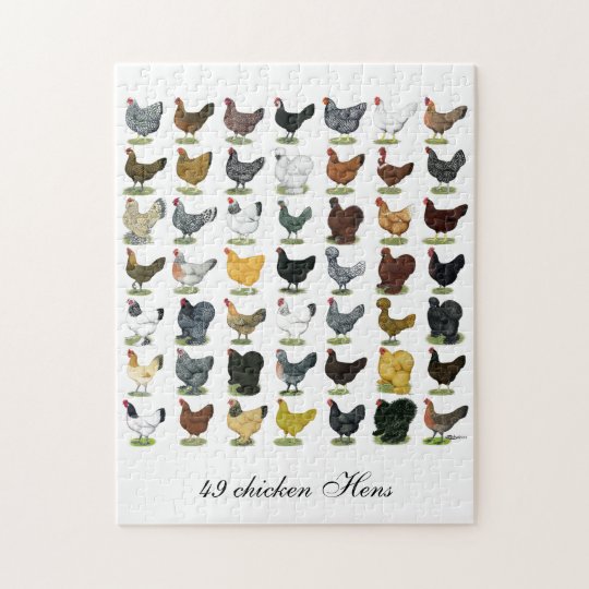 49 Chicken Hens Jigsaw Puzzle | Zazzle.com