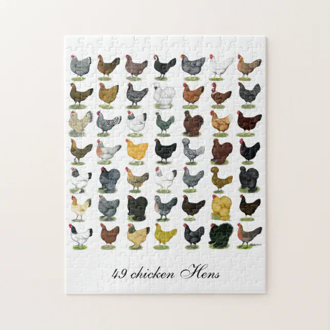 49 Chicken Hens Jigsaw Puzzle | Zazzle