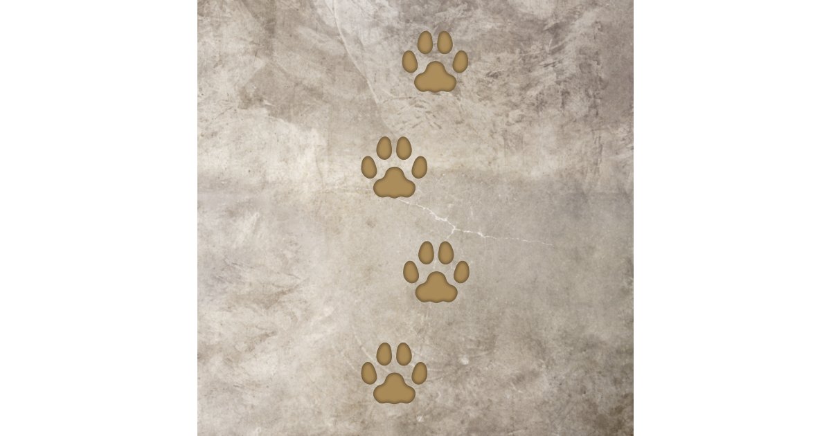 4 Brown Large Cat Paw Prints Animal Tracks Floor Decals | Zazzle