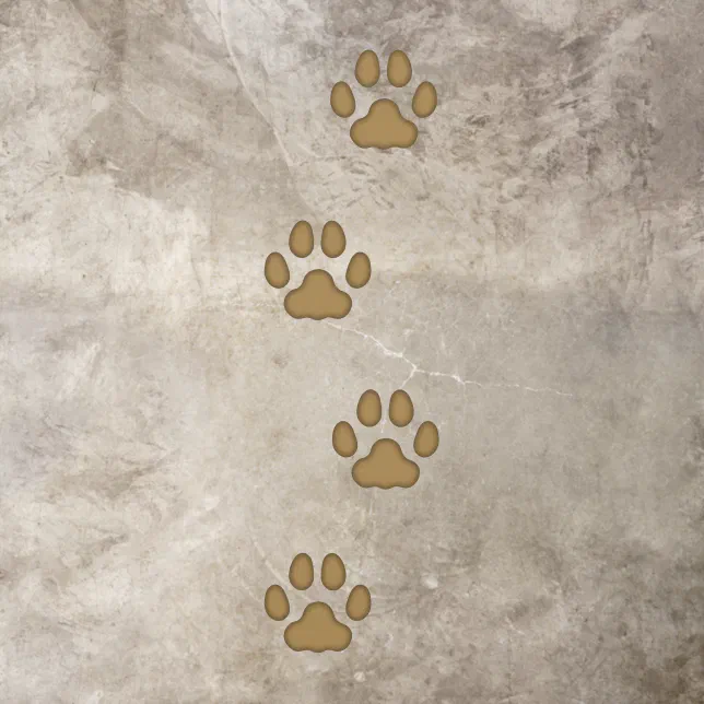 4 Brown Large Cat Paw Prints Animal Tracks Floor Decals | Zazzle